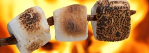 What Is A Primary And Non-Contributory Wording Endorsement? - GIS